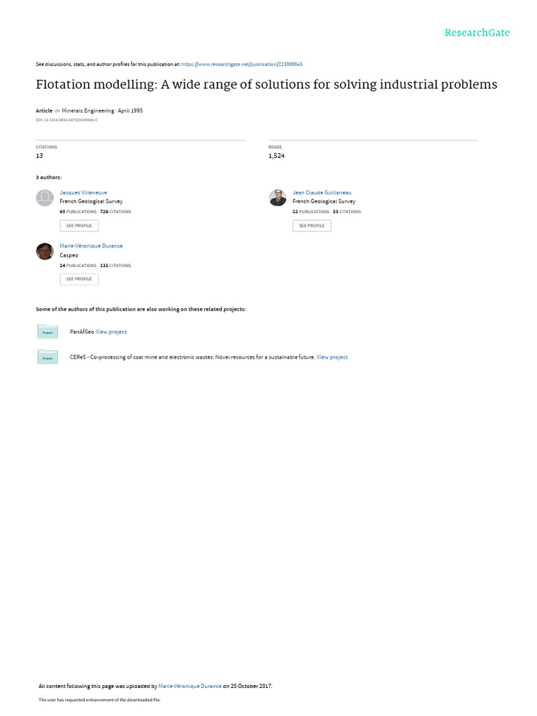 Flotation Modelling A Wide Range of Solutions For Solving Industrial ...