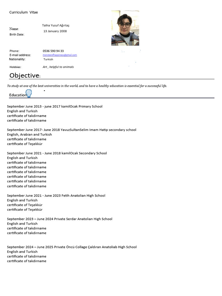 South Korea CV Sample 1 | PDF | Schools