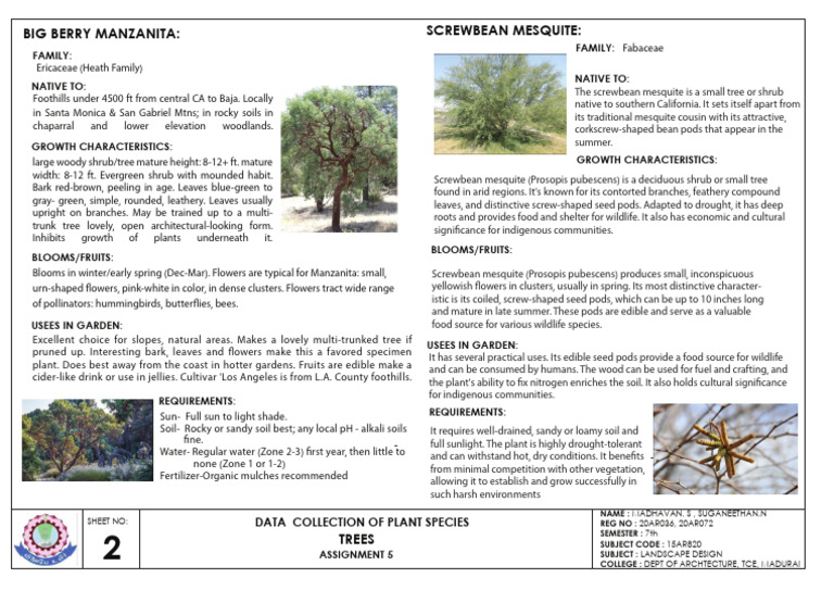 PLANT SPECIES Trees | PDF | Trees | Flowers