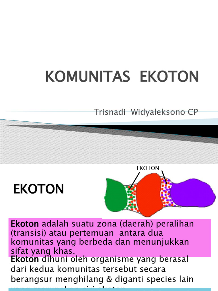 EKOTON | PDF