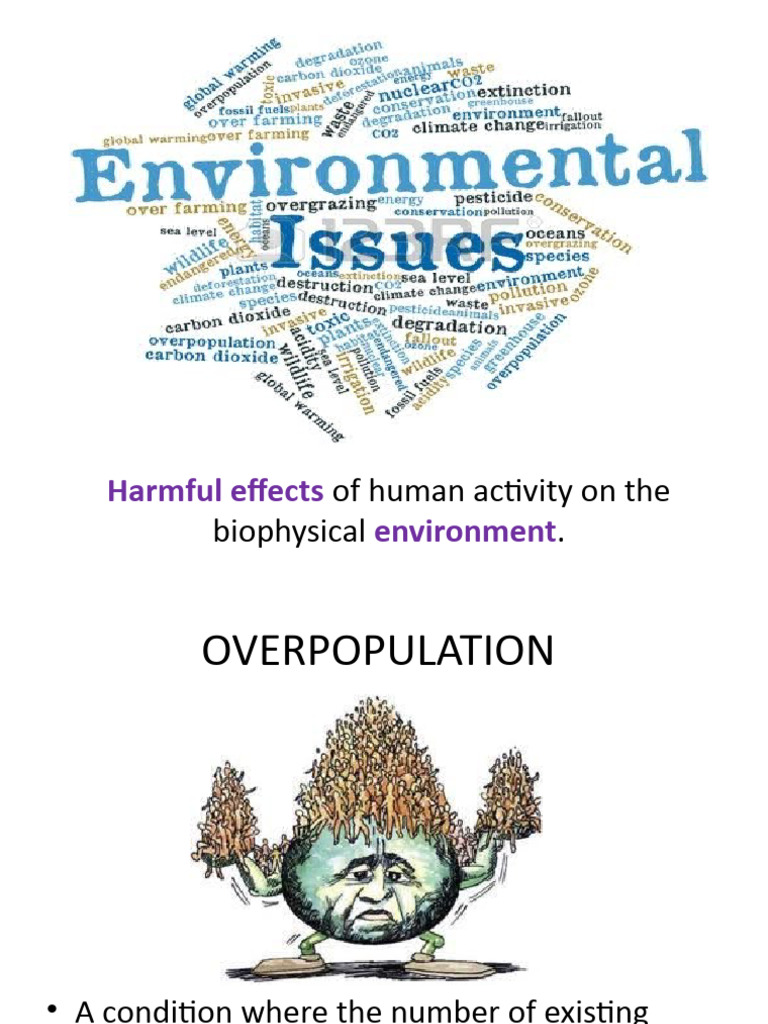Human Impact on the Environment | PDF | Water | Natural Environment