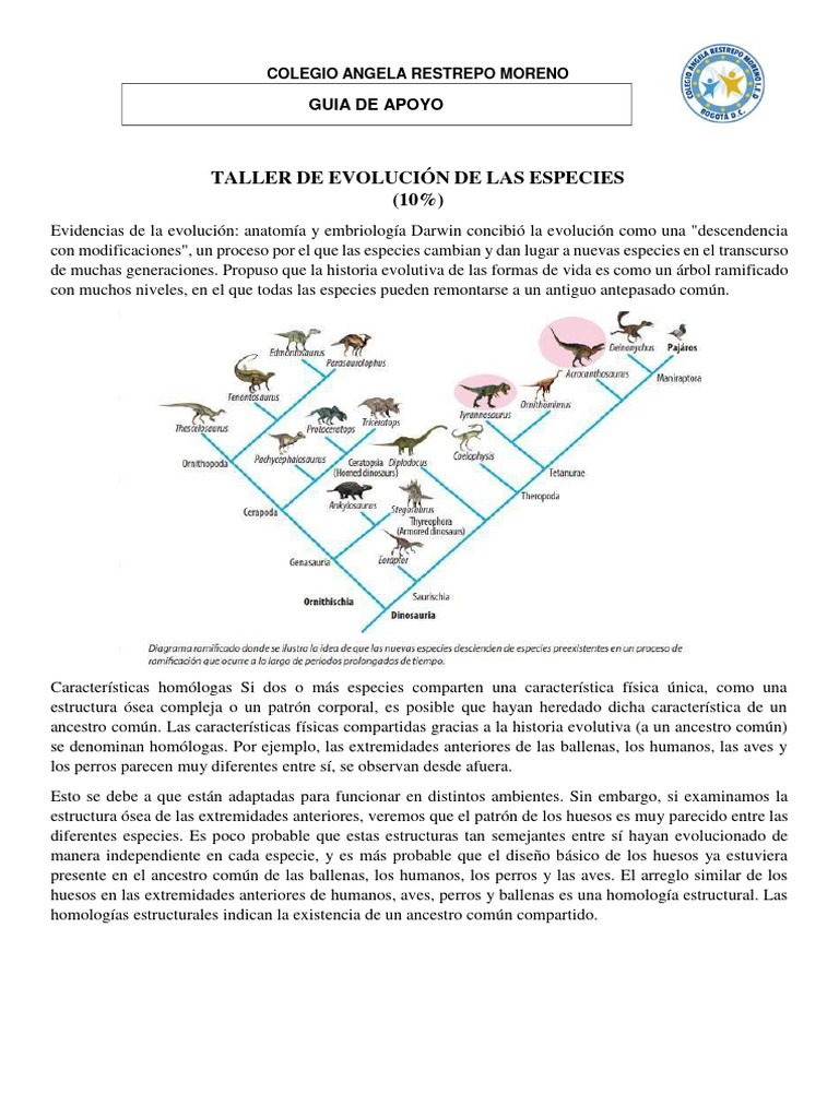 Taller de Biologia de Evolucion de Las Especies P1 | PDF | Evolución ...