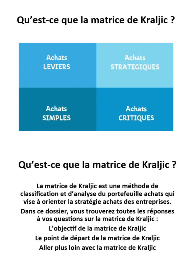 Comprendre la matrice de Kraljic | PDF | Business | Marché (Économie)