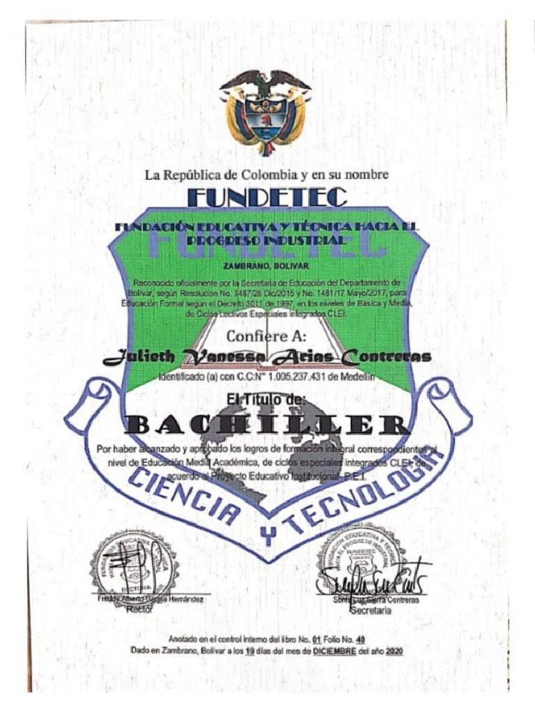 Bachiller Julieth Arias | PDF