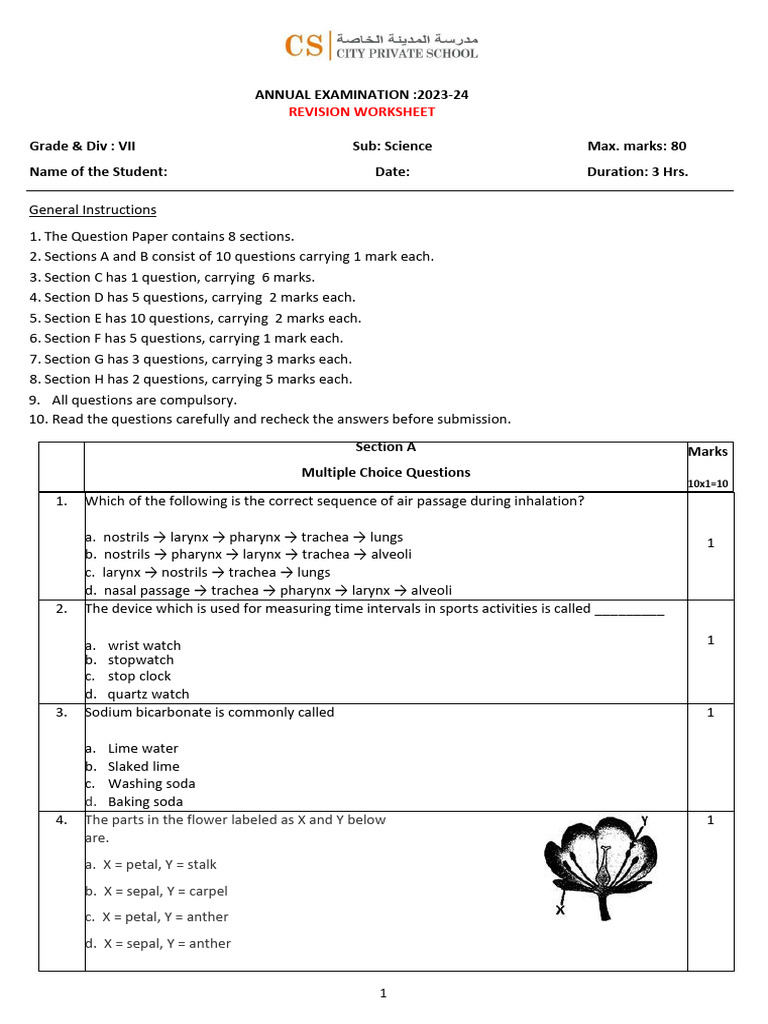 Grade 7 Science Revision Worksheet | PDF | Water | Flowers