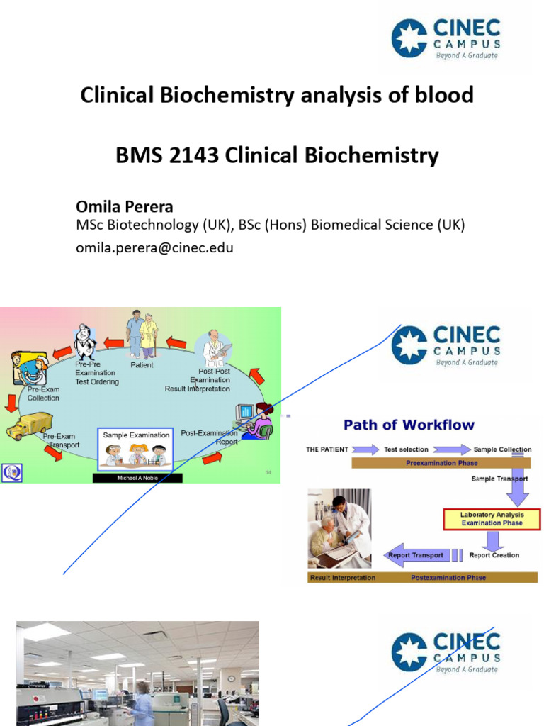 Theory 5 - Analysis of Blood | PDF | Blood Plasma | Blood