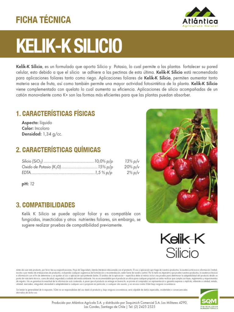 190910_fichas_tecnica_kelik-k_silicio | PDF | Plantas | Agricultura
