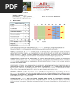 Test Caritas | PDF | Deportes y actividades al aire libre | Artes del ...