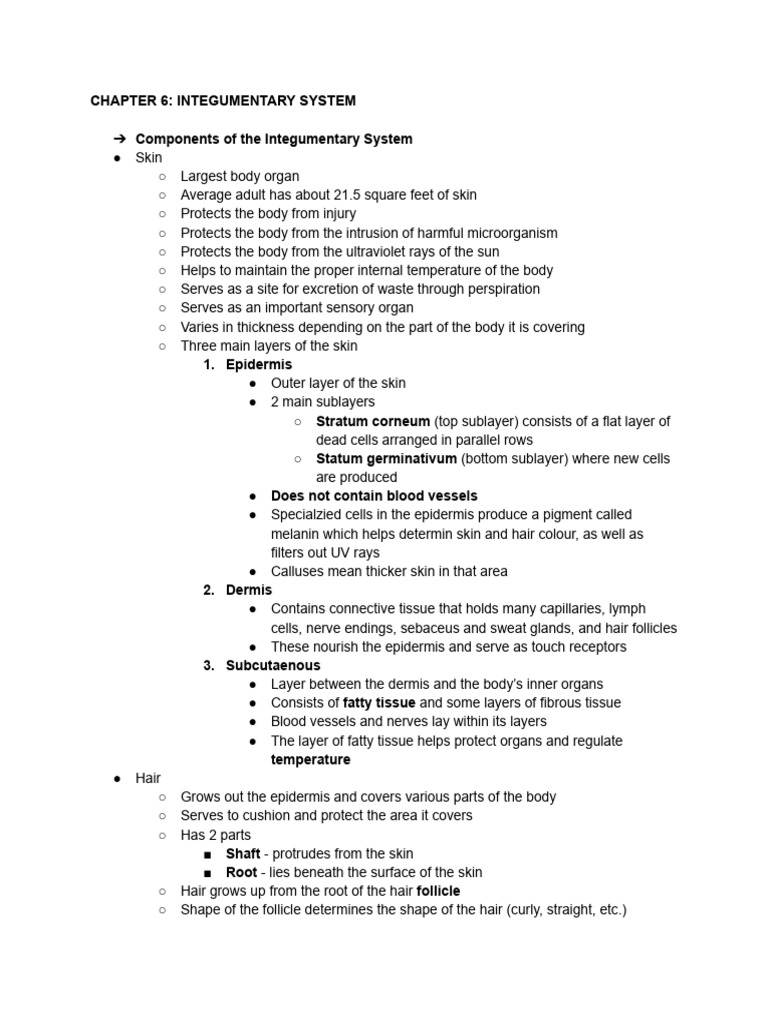 CHAPTER 6 - Integumentary System | PDF | Skin | Integumentary System