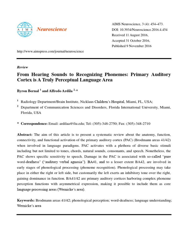 Primary Auditory Cortex Is A Truly Perceptual Language Area | PDF ...
