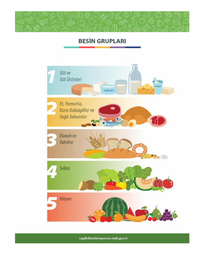 Sağlıklı Beslenme | PDF