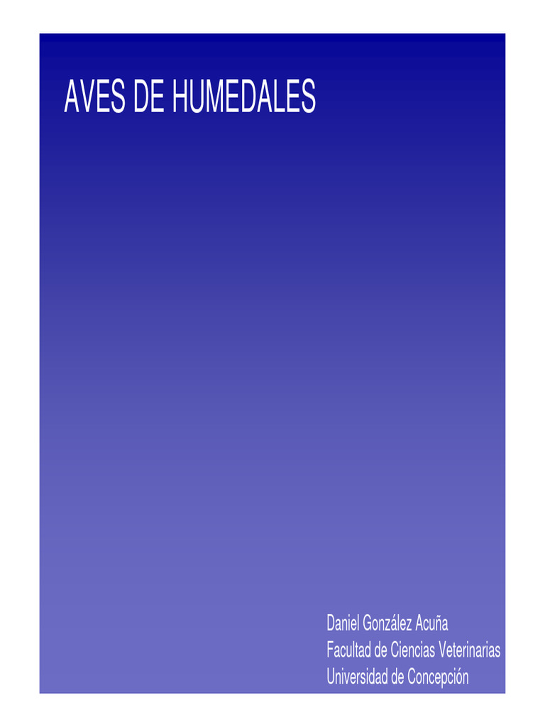 4-Aves de Humedales DGA para Alumnos | PDF | Ornitología | Aves