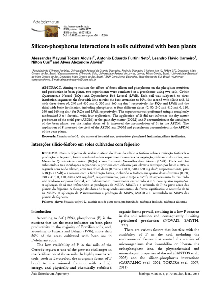 Silicon-Phosphorus Interactions in Soils Cultivated With Bean Plants ...