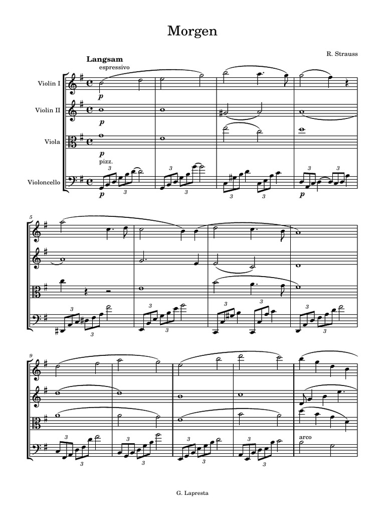 Morgen Strauss String Quartet | PDF | String Instruments | Musical ...