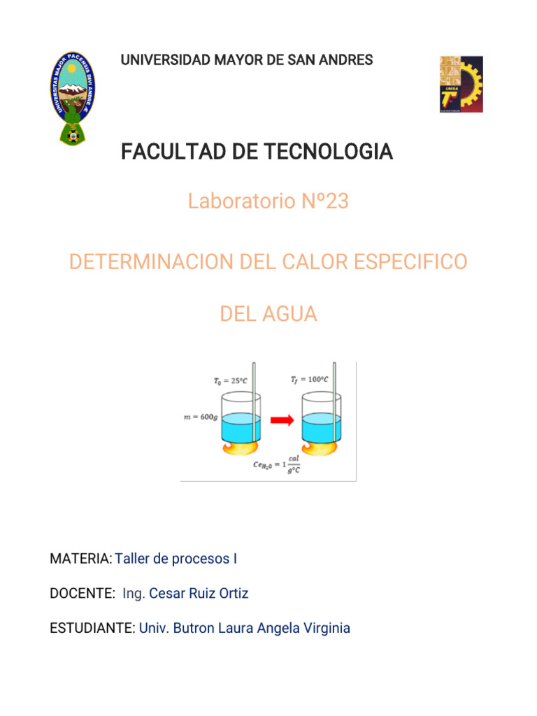 Informe 23 Taller de Procesos 1. | PDF