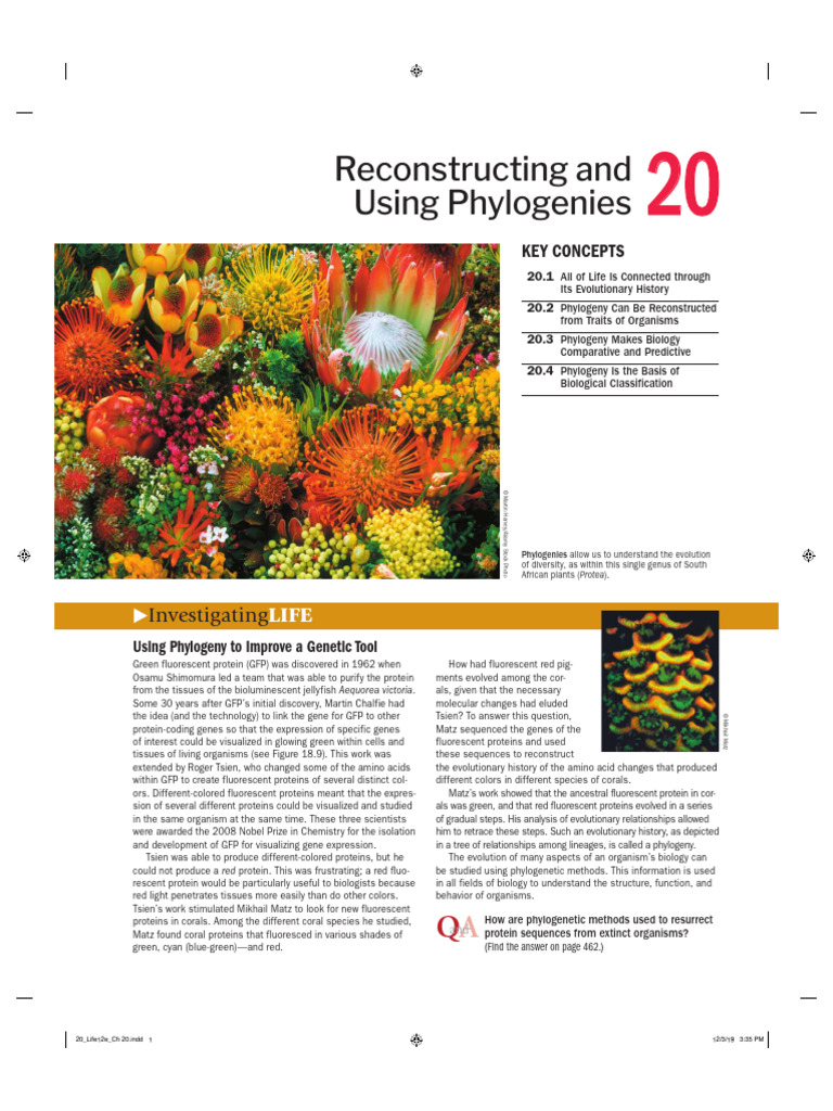 Ch20-Life The Science of Biology 12th Ed 2020 | PDF