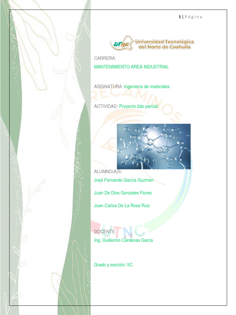 Proyecto 2do Parcial IM | PDF