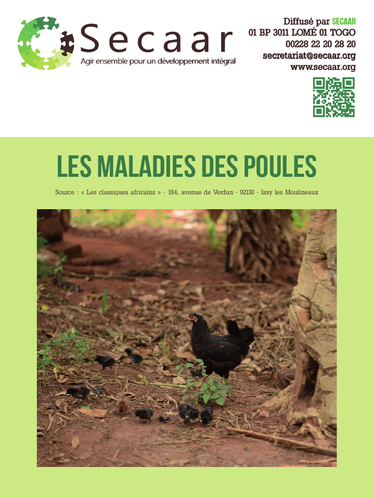 Maladies courantes des poules et traitements | PDF | Poulet | Élevage ...