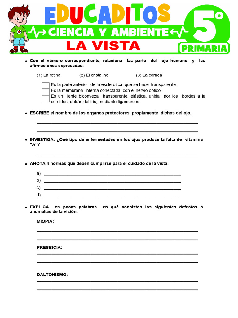 La Vista para Quinto Grado de Primaria | PDF | Ojo humano | Percepción ...
