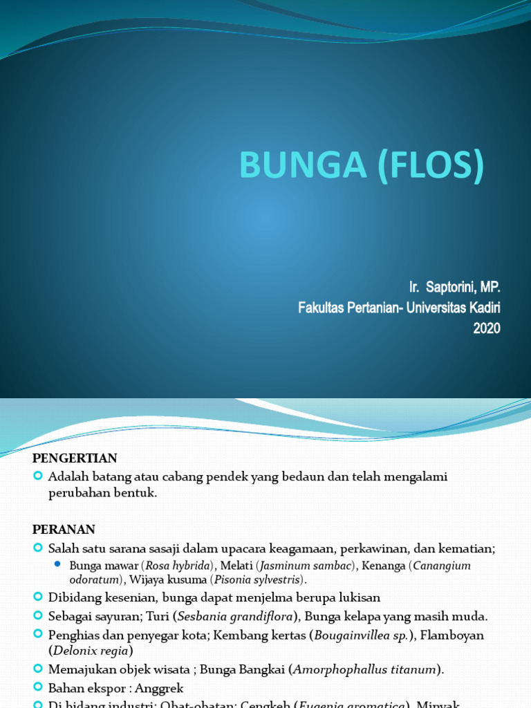 Pertemuan 13 Bunga | PDF
