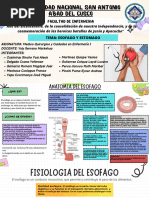 ESÒFAGO (Anatomía, Embriología, Histología y Fisiología) | PDF ...