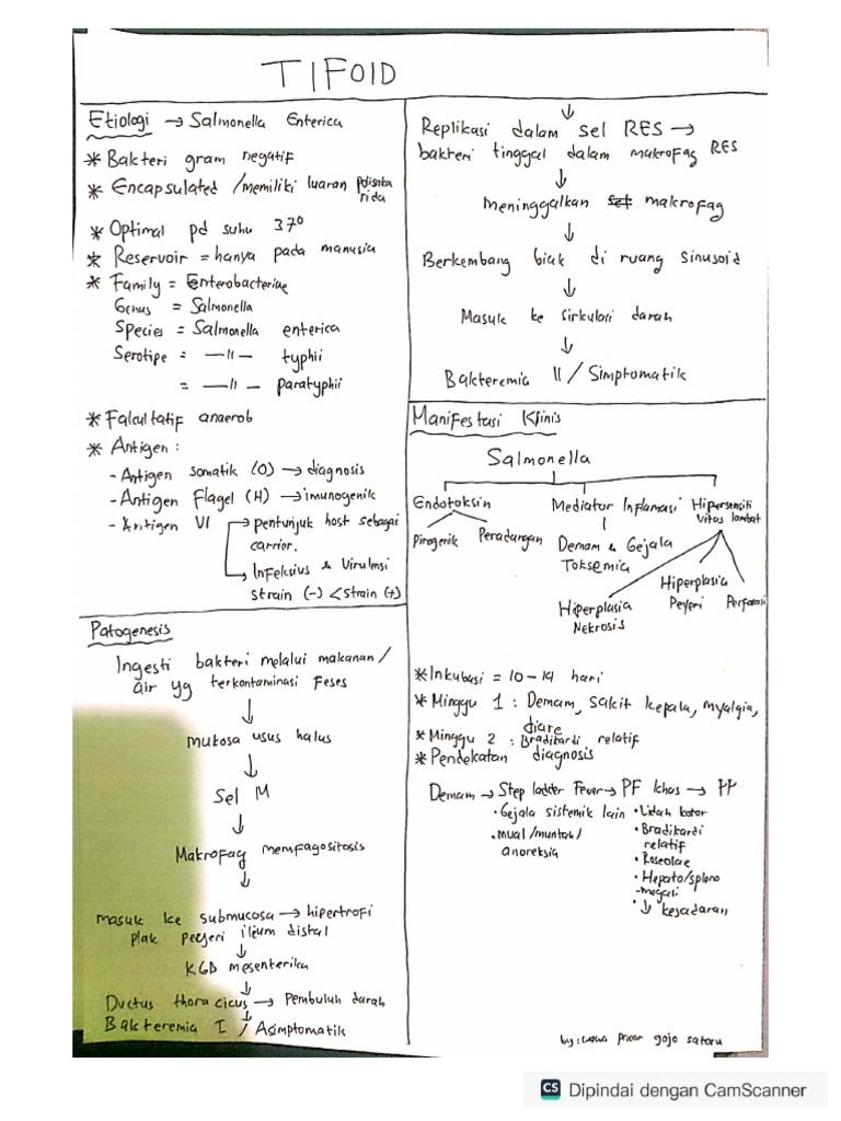 Bahan SOOCA Tifoid | PDF