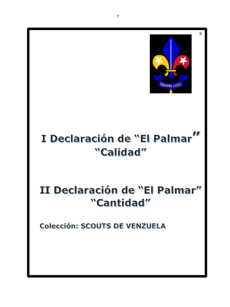Declaracion Del Palmar Definicion Del Escultismo | PDF | Ciencias ...