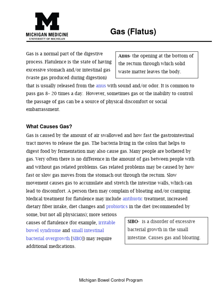 Gas (Flatus) | PDF