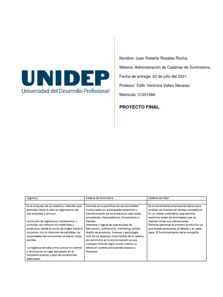 Proyecto Final Rosales Roberto | PDF