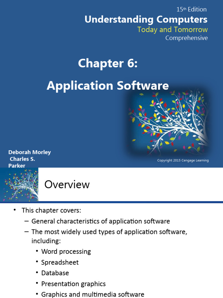 Application Software, Word and Excel Grade 8 | Download Free PDF ...