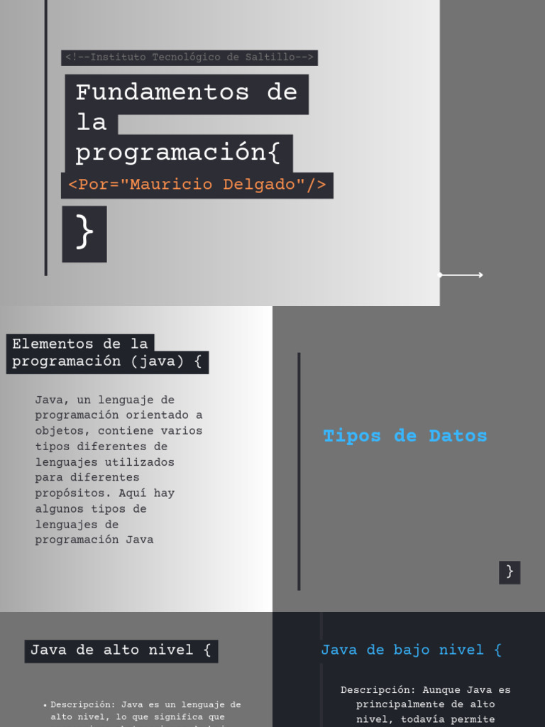 Fundamentos de La Programacion M.D.O. | PDF