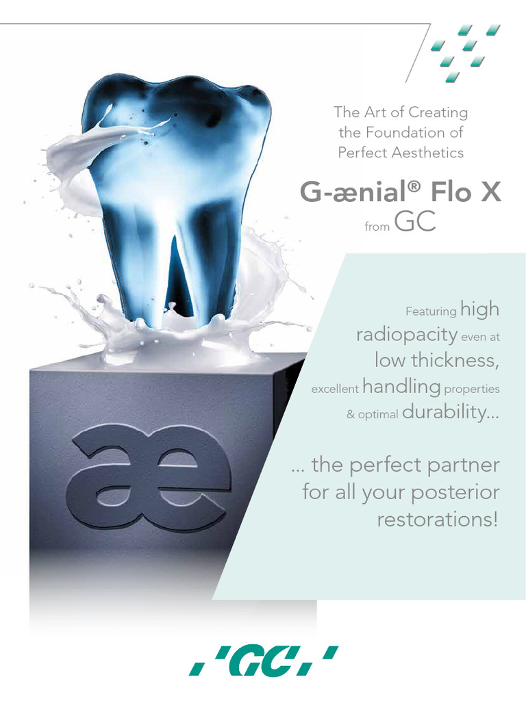 LFL G-Aenial Flo X en | PDF | Syringe | Building Engineering