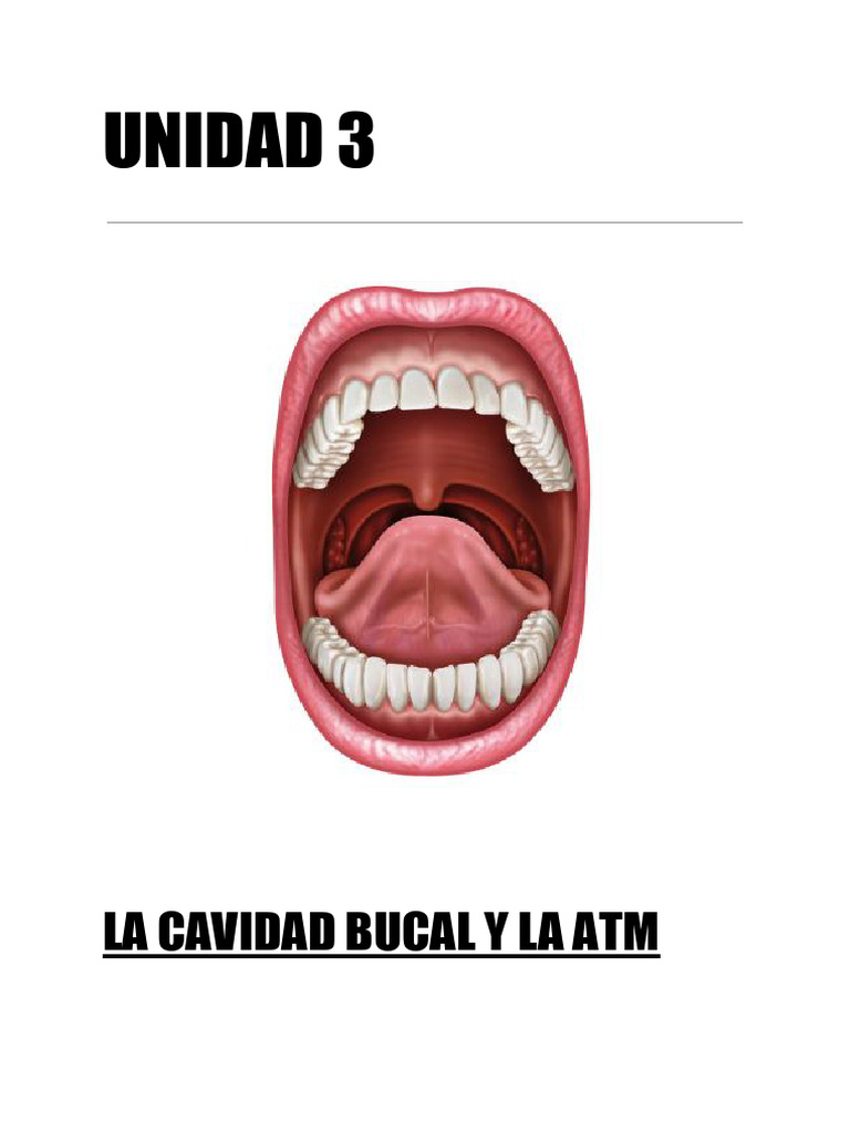 Unidad 3. La Cavidad Bucal. | PDF | Articulación | Boca