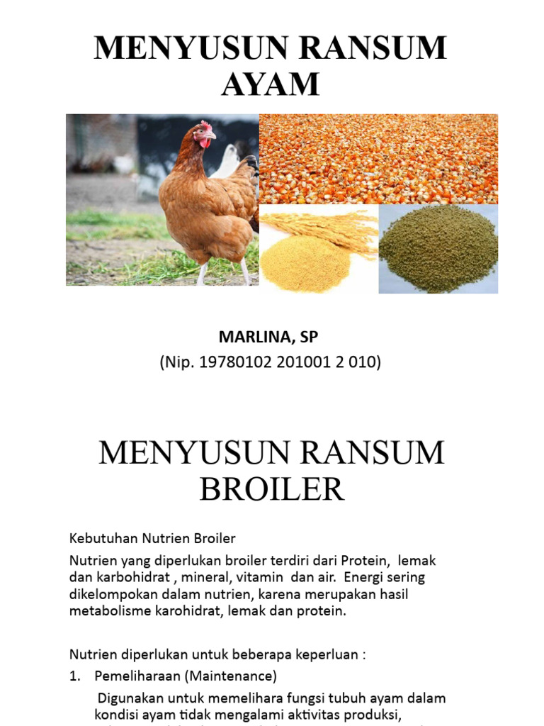 Menyusun Ransum Ayam MARLINA | PDF