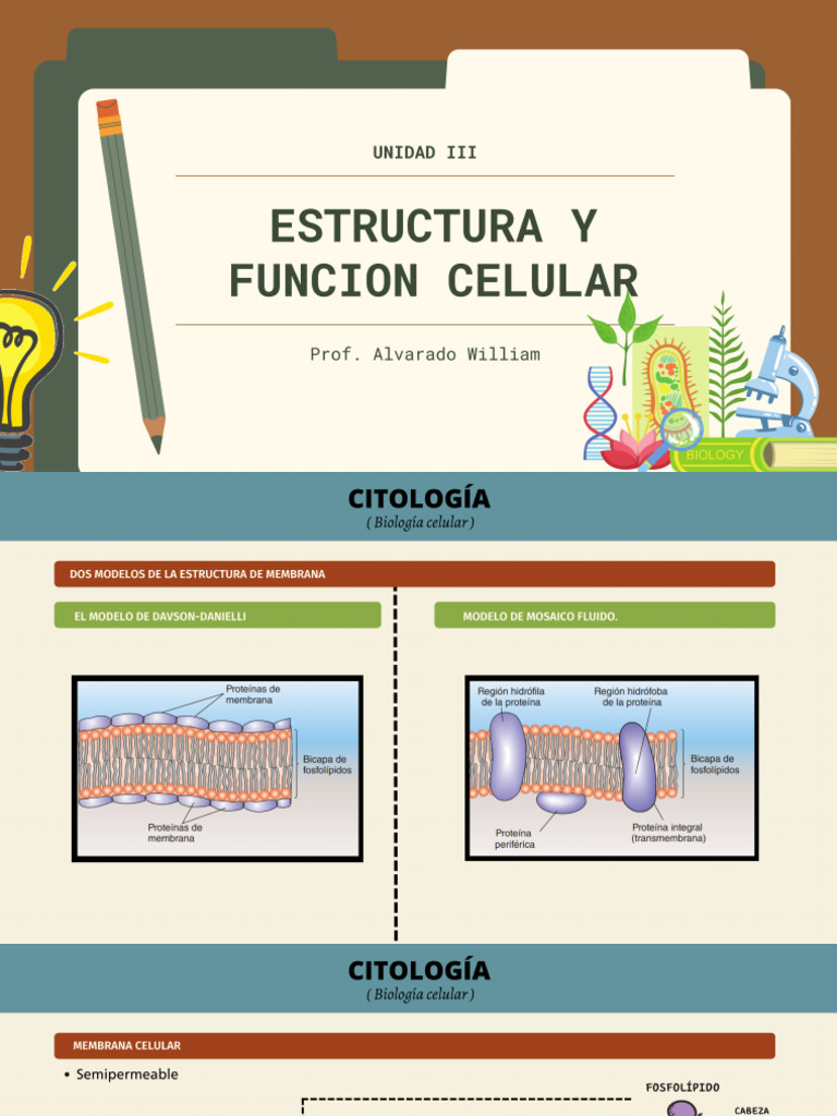 Estructura y Funcion Celular Parte 2unidad 3 | PDF