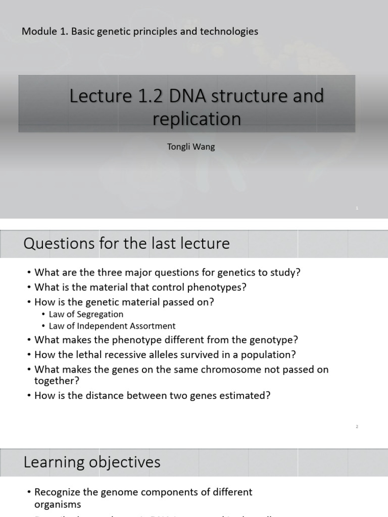 L1.2 - DNA Structure - Replication | PDF | Dna | Telomere