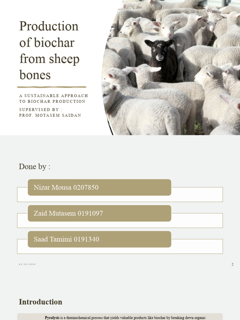 Production of Biochar From Sheep Bones | PDF | Pyrolysis | Chemistry