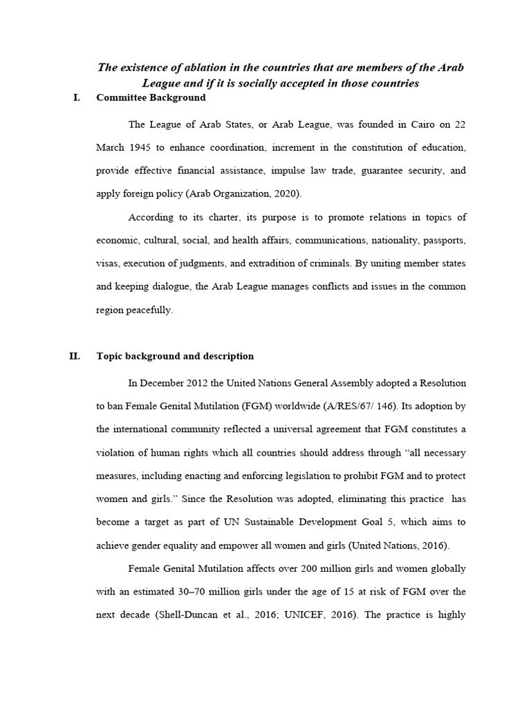 Background Paper | PDF | Female Genital Mutilation | Gender Equality