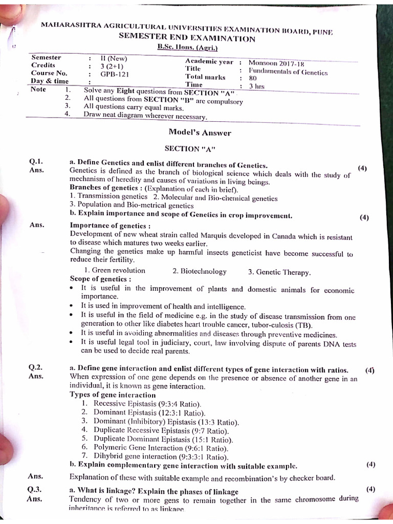 GPB-121 Model Ans 2017-18 | PDF