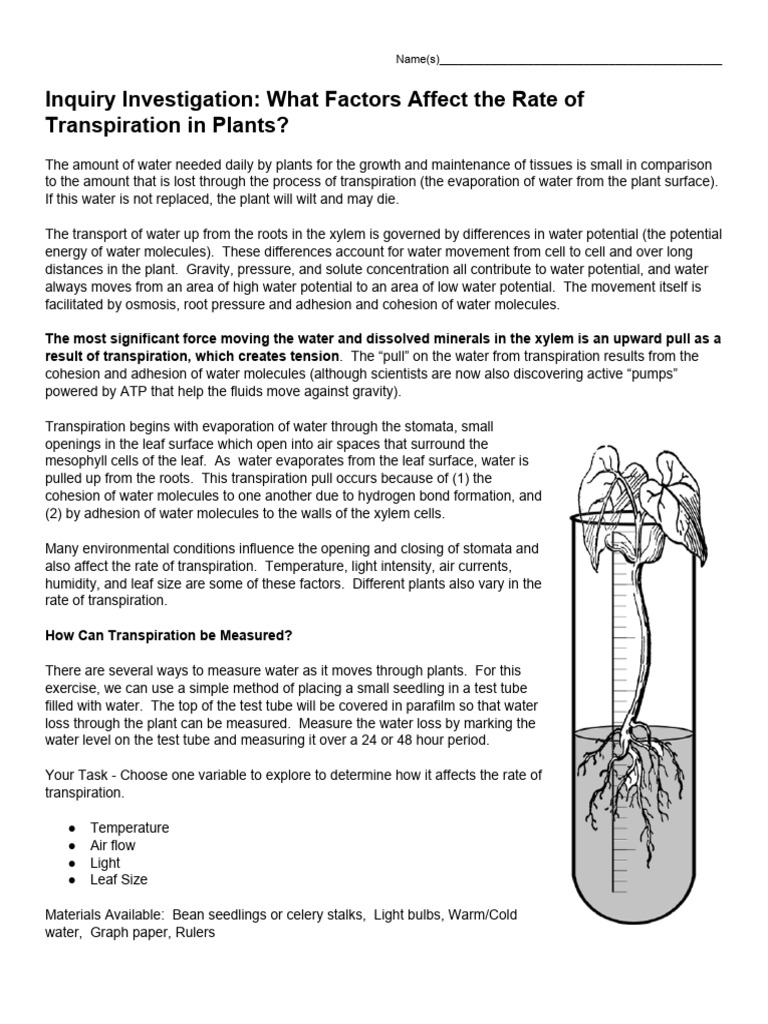 (LAB) Transpiration in Plants | PDF | Earth Sciences | Engineering ...