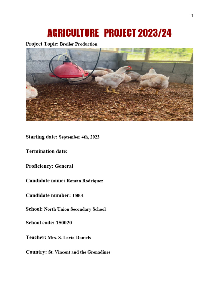 Agriculture SBA Roman Rodriquez Broiler Document | PDF | Broiler | Chicken