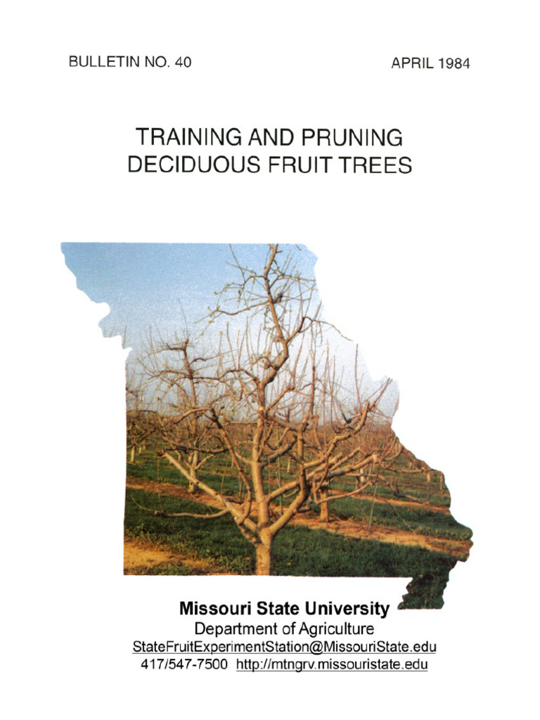 B 40 Training and Pruning Deciduous Fruit Trees | PDF | Pruning | Trees