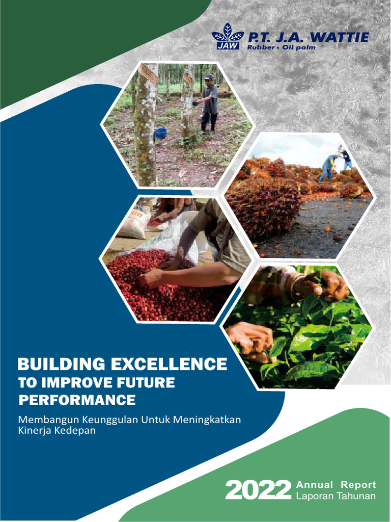 Annual Report 2022 | PDF