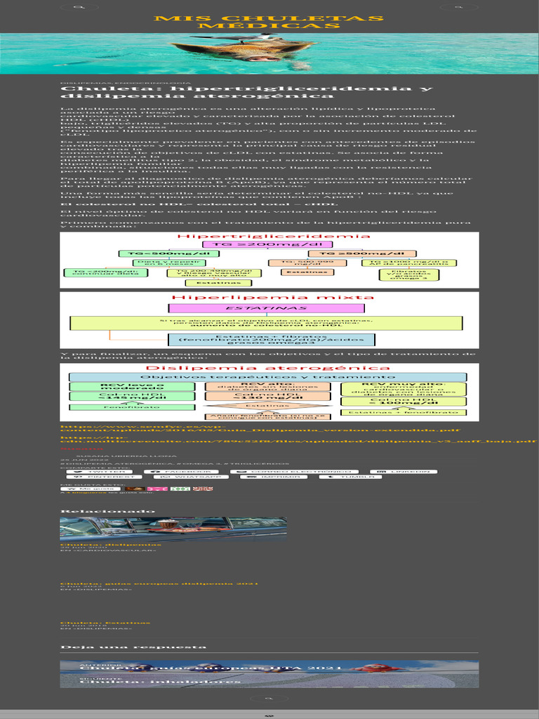 Chuleta Hipertrigliceridemia y Dislipemia Aterogénica - MIS CHULETAS MÉDICAS 2 | PDF ...
