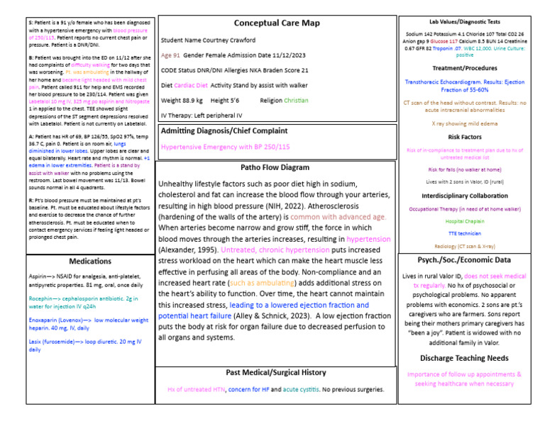 Graded Concept Map 2 | PDF | Hypertension | Atherosclerosis