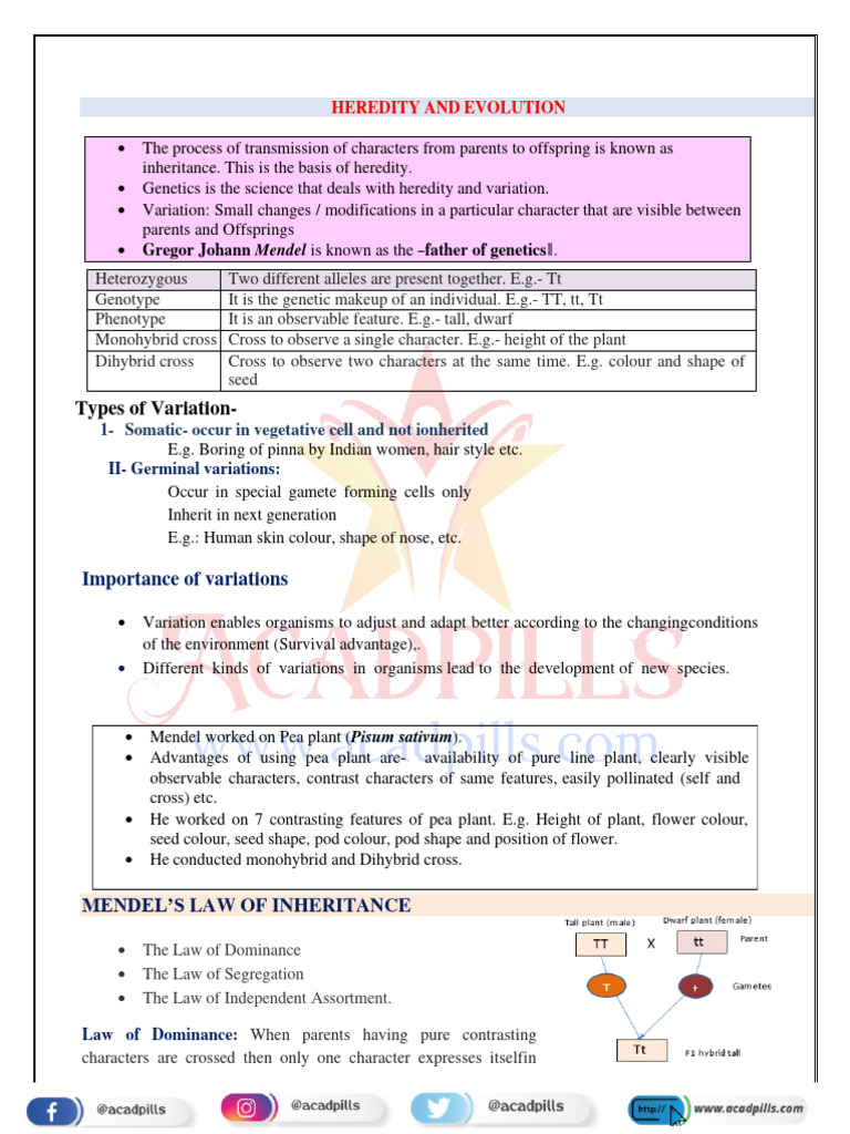 Chapter 8 - Heredity and Evolution | PDF | Dominance (Genetics) | Heredity