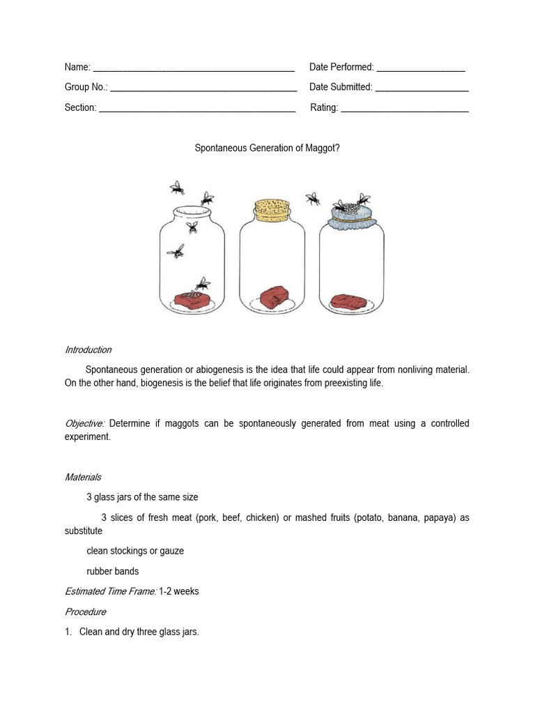 Spontaneous Generation | PDF