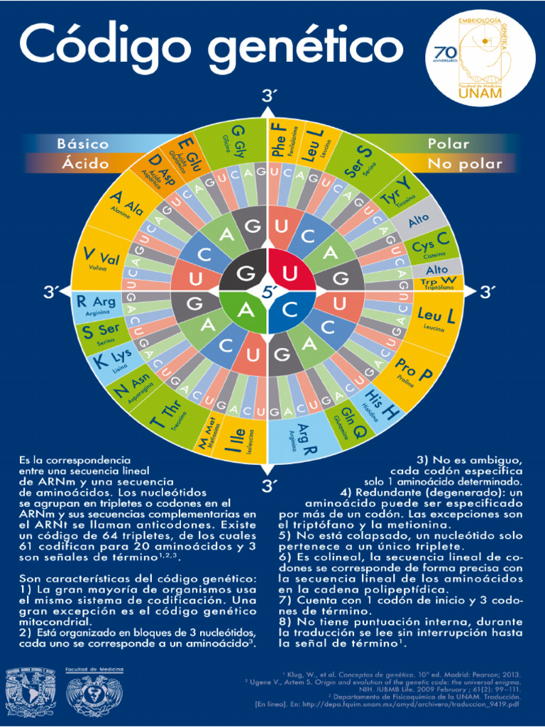 Codigo Genetico | PDF
