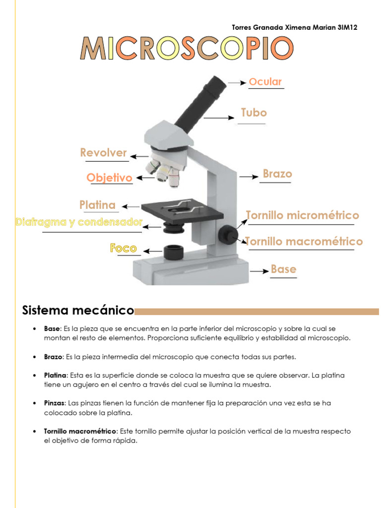 Partes y funciones del microscopio | PDF | Lente de la cámara | Óptica