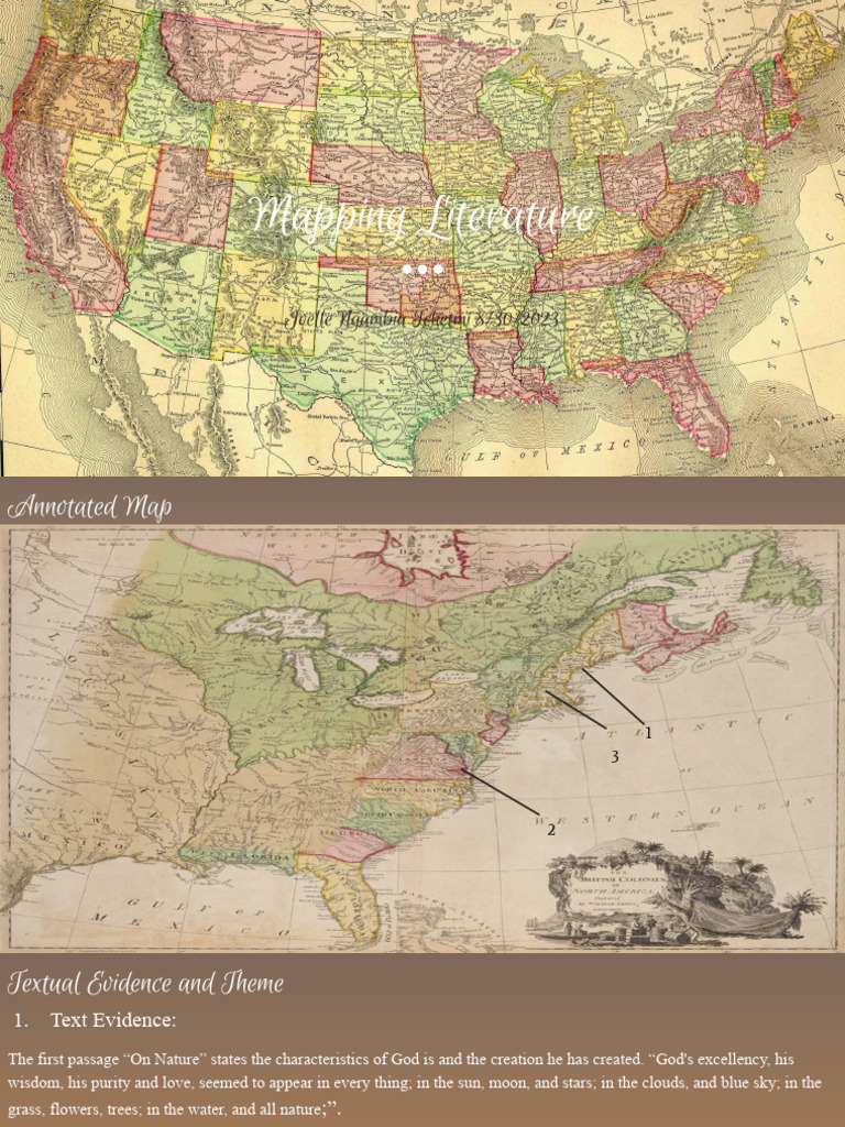 Mapping Literature Assignment | PDF